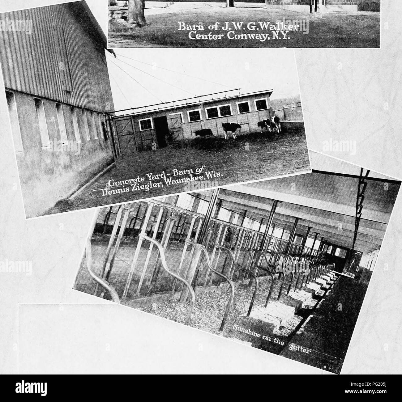 This book outlines the process of building and equipping a modern dairy barn, providing ...