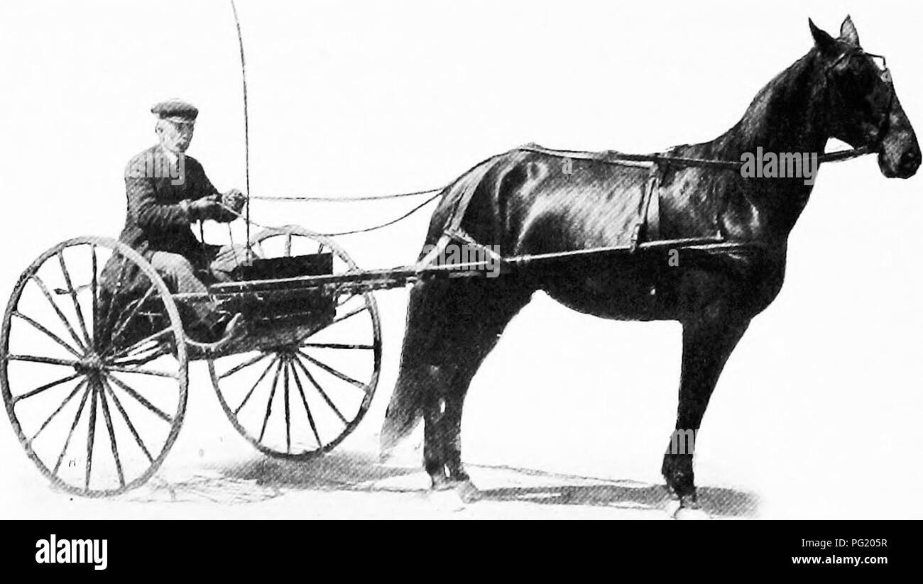 Whippletree hi-res stock photography and images - Alamy