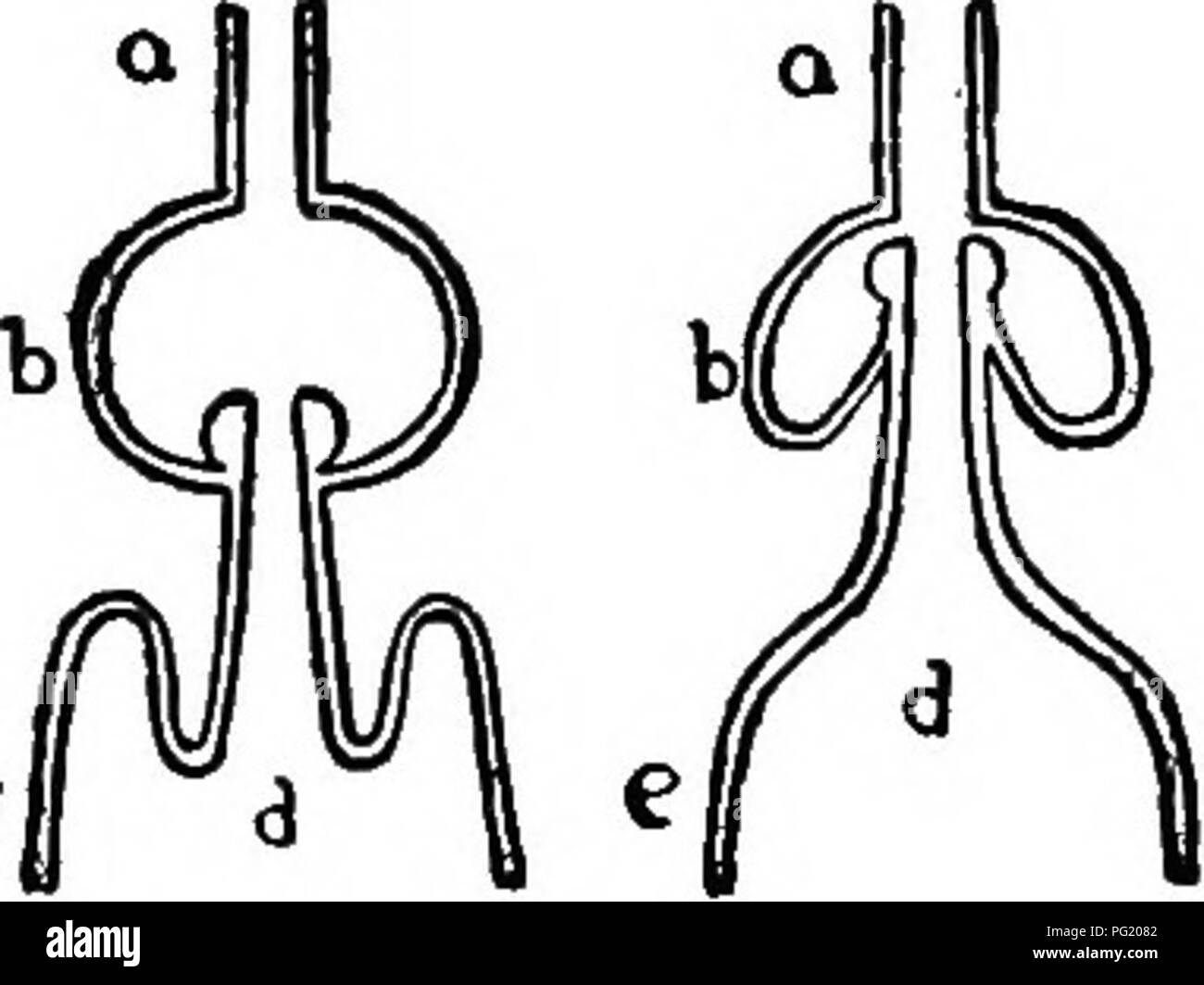 Low power microscope hi-res stock photography and images - Alamy