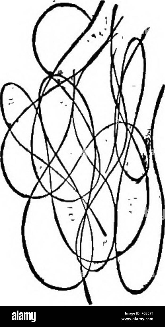 This guide provides detailed instructions for beekeeping, including ...