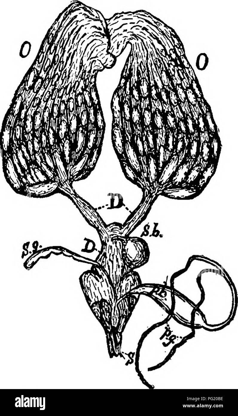This guide provides comprehensive information on bee-keeping, with a ...