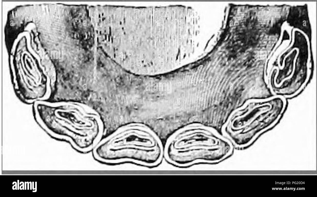 This manual provides practical guidance on choosing, breeding, and ...