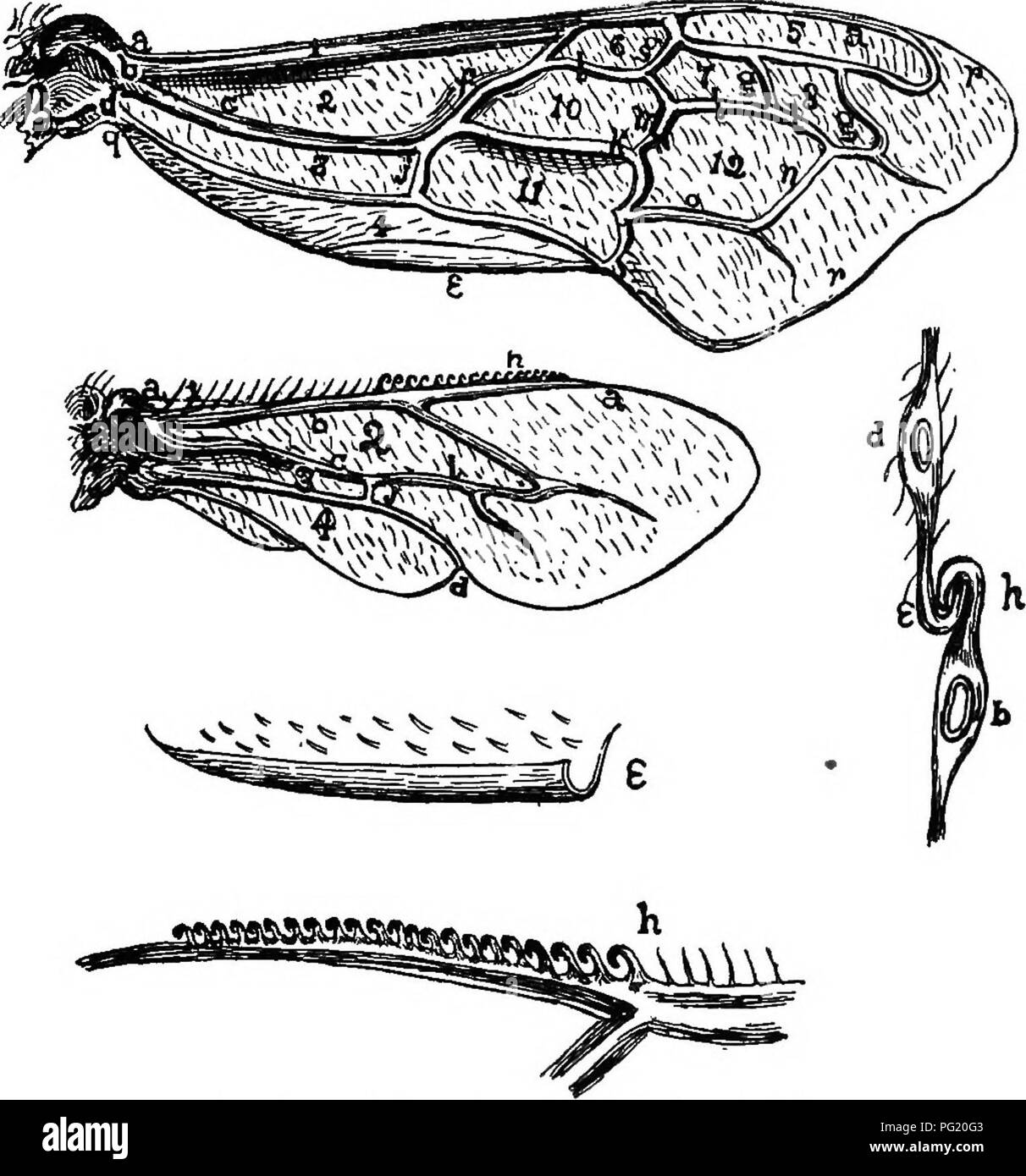 This manual provides comprehensive instructions for beekeeping ...