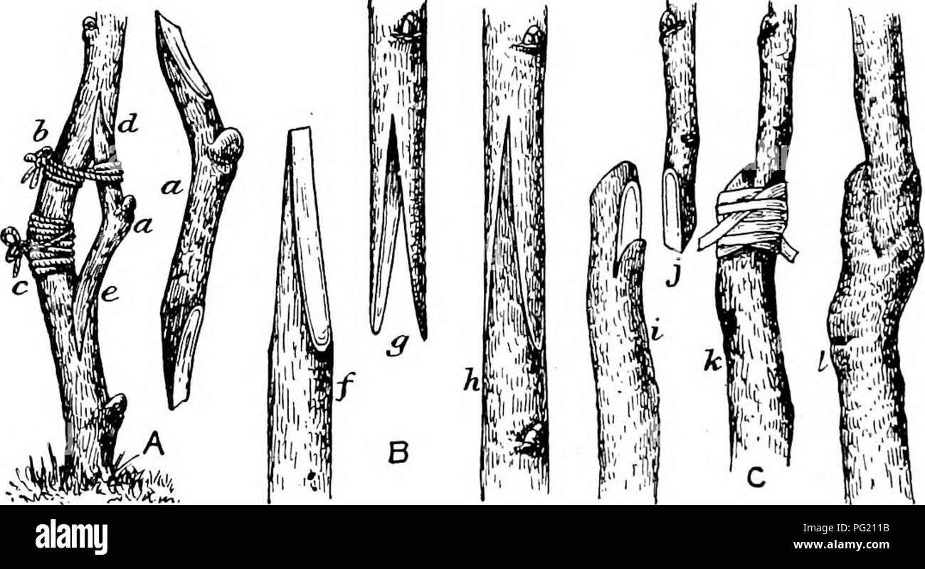 40 feet tall hi-res stock photography and images - Alamy