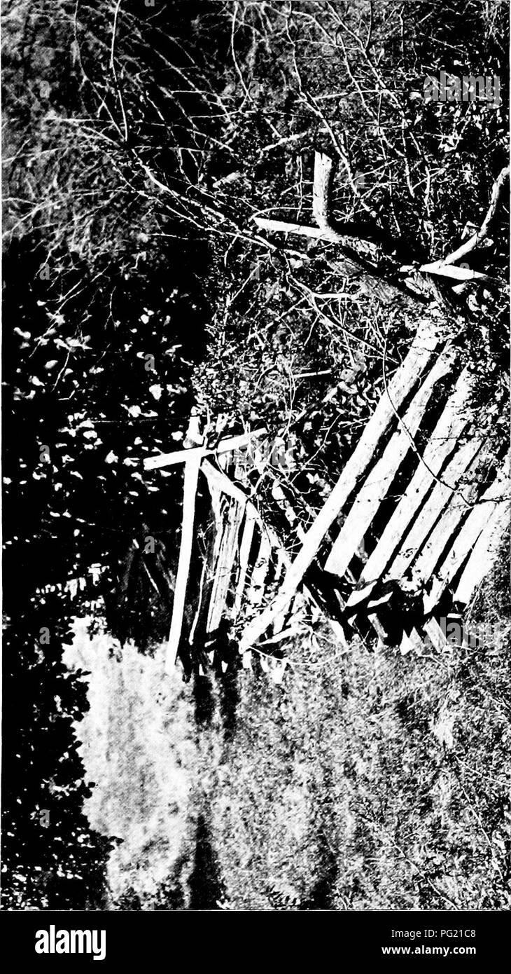 This work explores the relationship between humans and nature ...