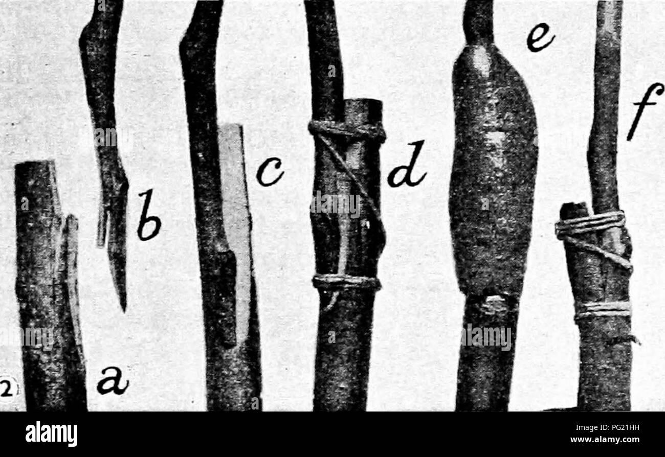 This Guide Outlines Various Plant Propagation Methods Used In