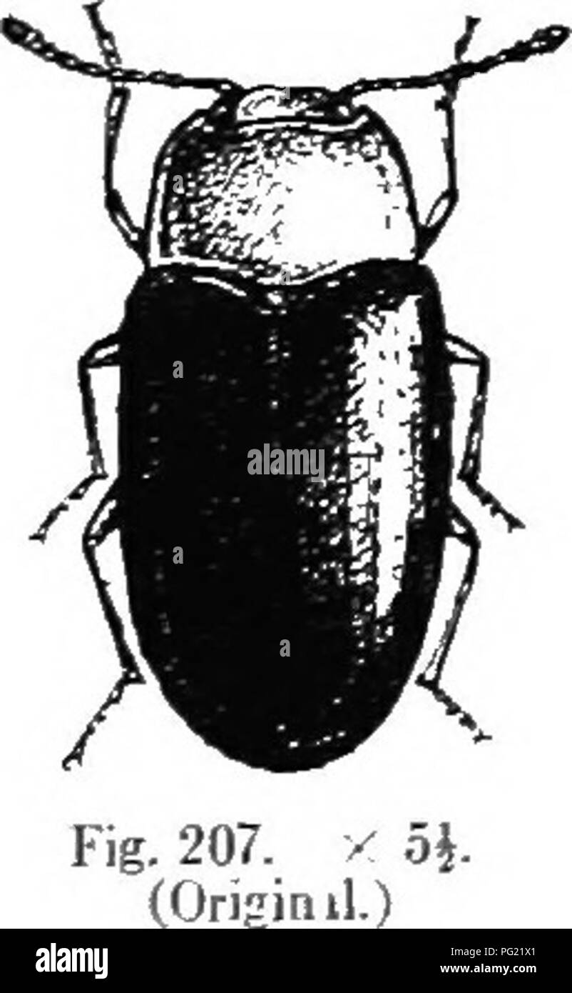 3 9 mm Black and White Stock Photos & Images - Alamy