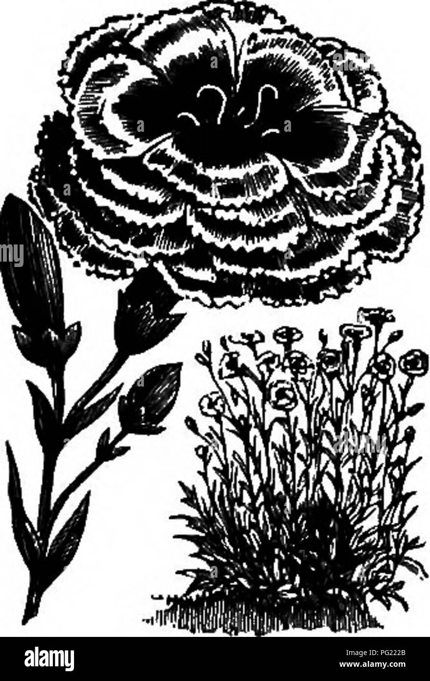 Comprehensive catalog on various Black and White Stock Photos & Images ...