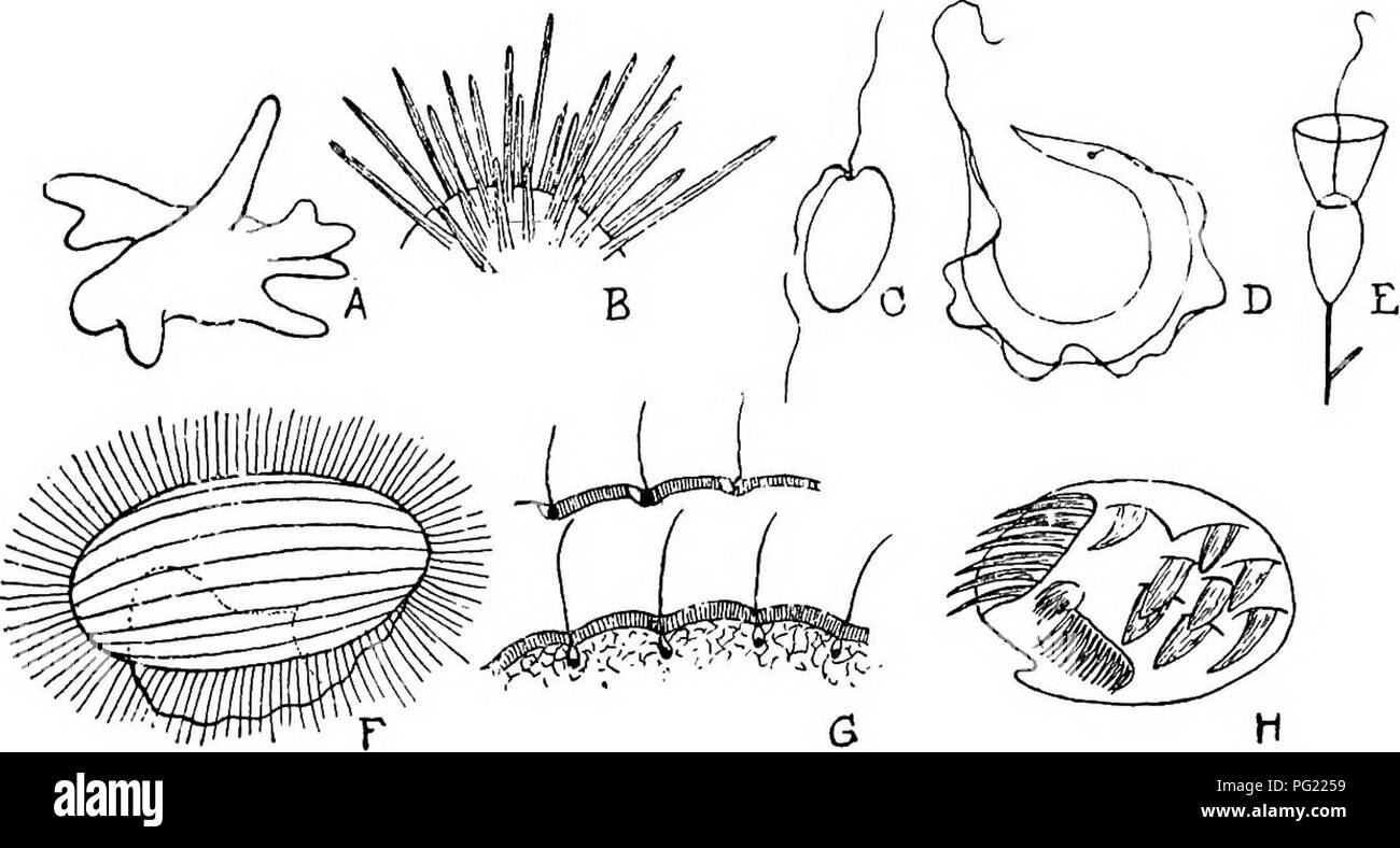 Ectoplasm Stock Photos & Ectoplasm Stock Images - Alamy