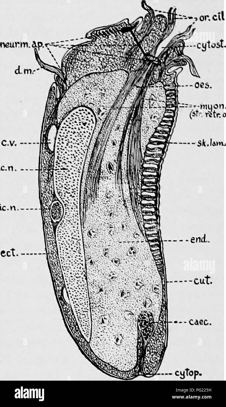 This work covers the role of animal parasites and their link to human ...