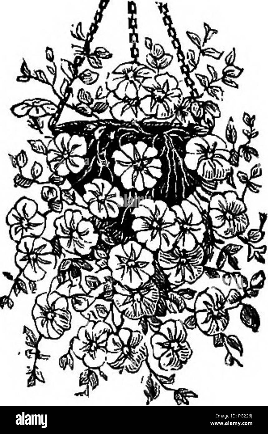 This handbook by Peter Henderson is a comprehensive guide to general ...