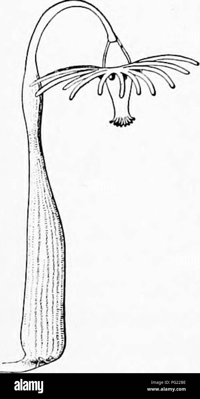 This zoology textbook explains the development of species, particularly ...