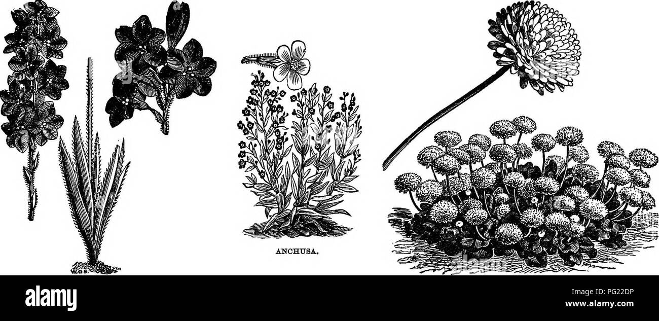 A comprehensive guide to general horticulture, including plant care and ...