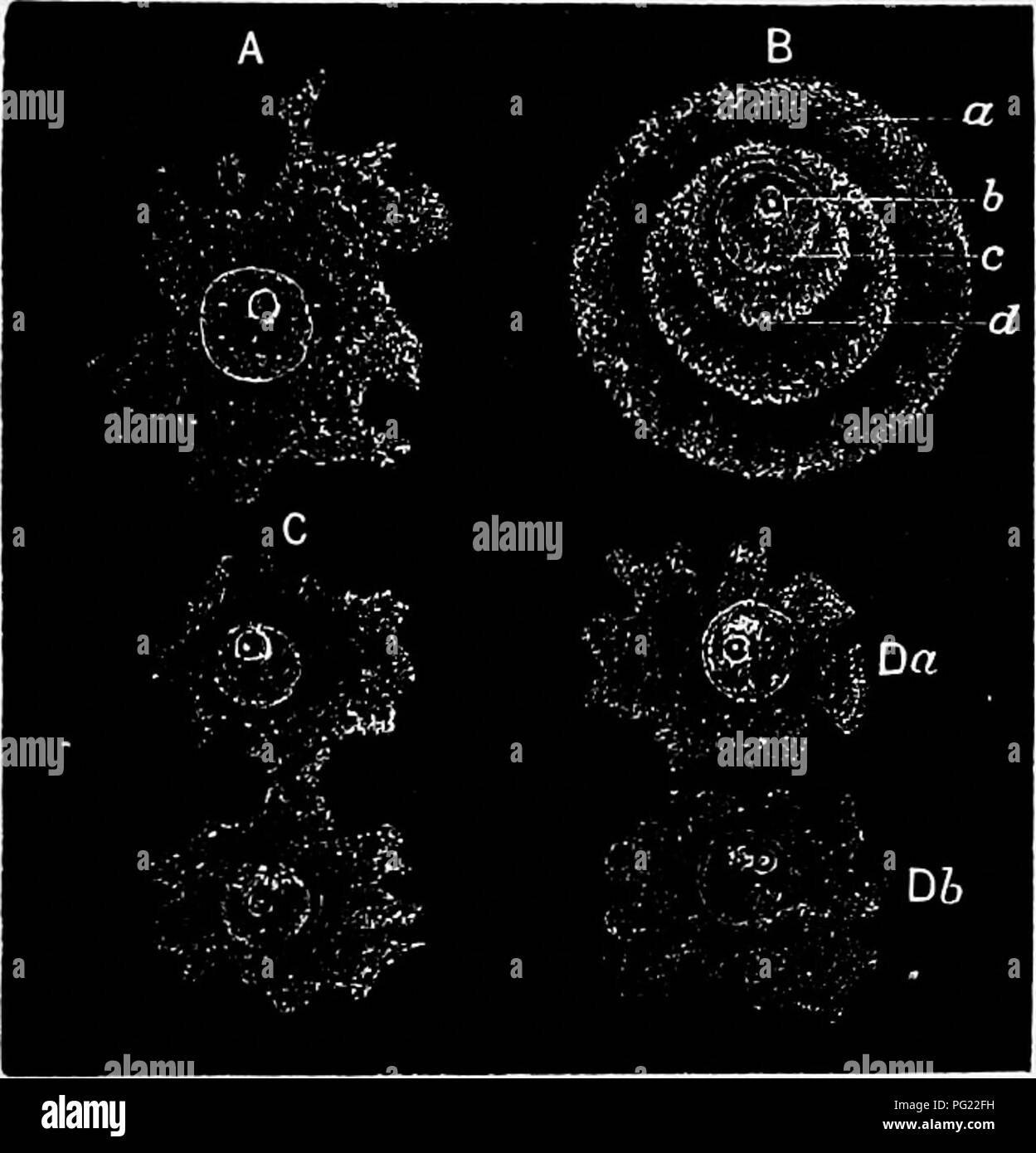 Granular mass hi-res stock photography and images - Alamy
