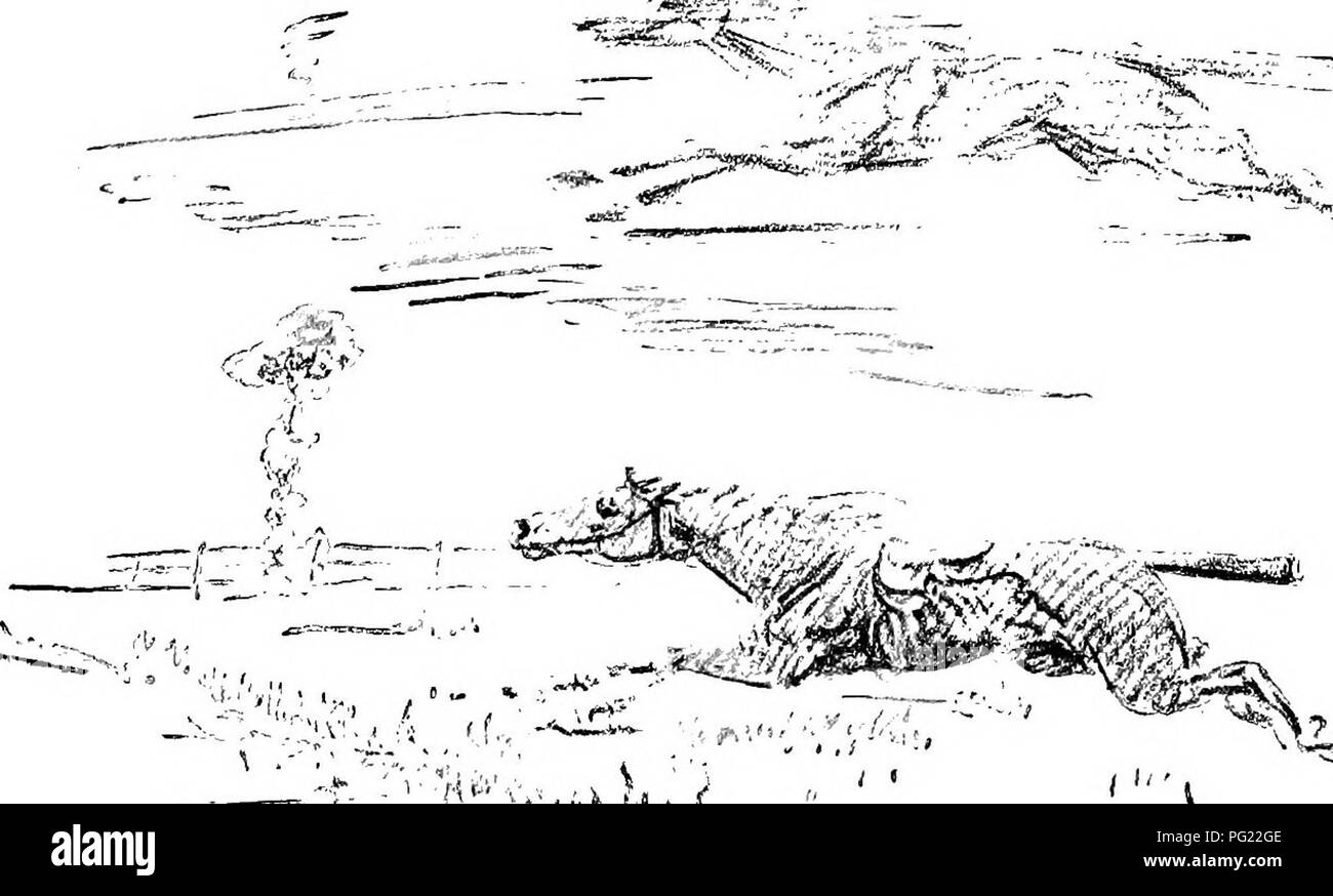 This guide provides practical advice on the proper care and evaluation ...