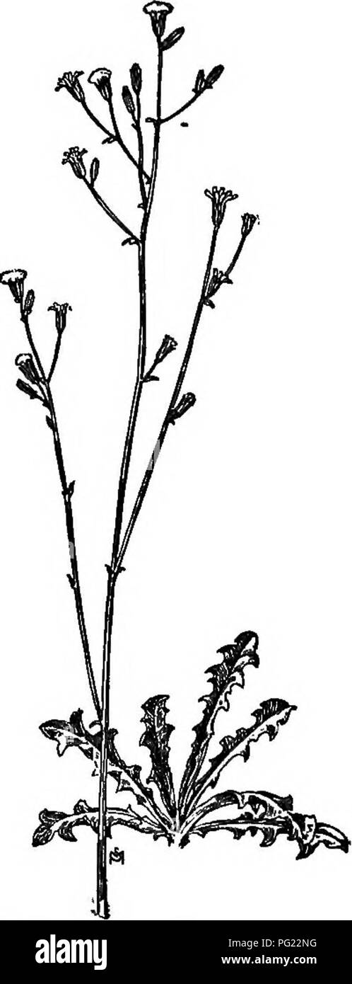 This manual provides a comprehensive guide to the most invasive and ...