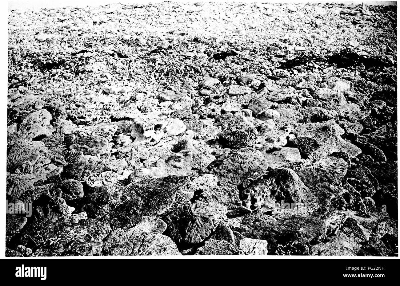 Saville kent island hi-res stock photography and images - Alamy