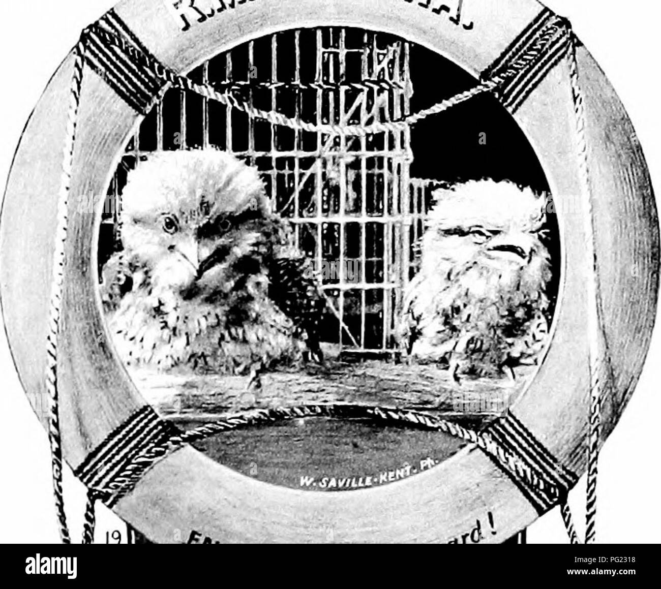 This book, written by W. Saville Kent, explores Australian wildlife ...