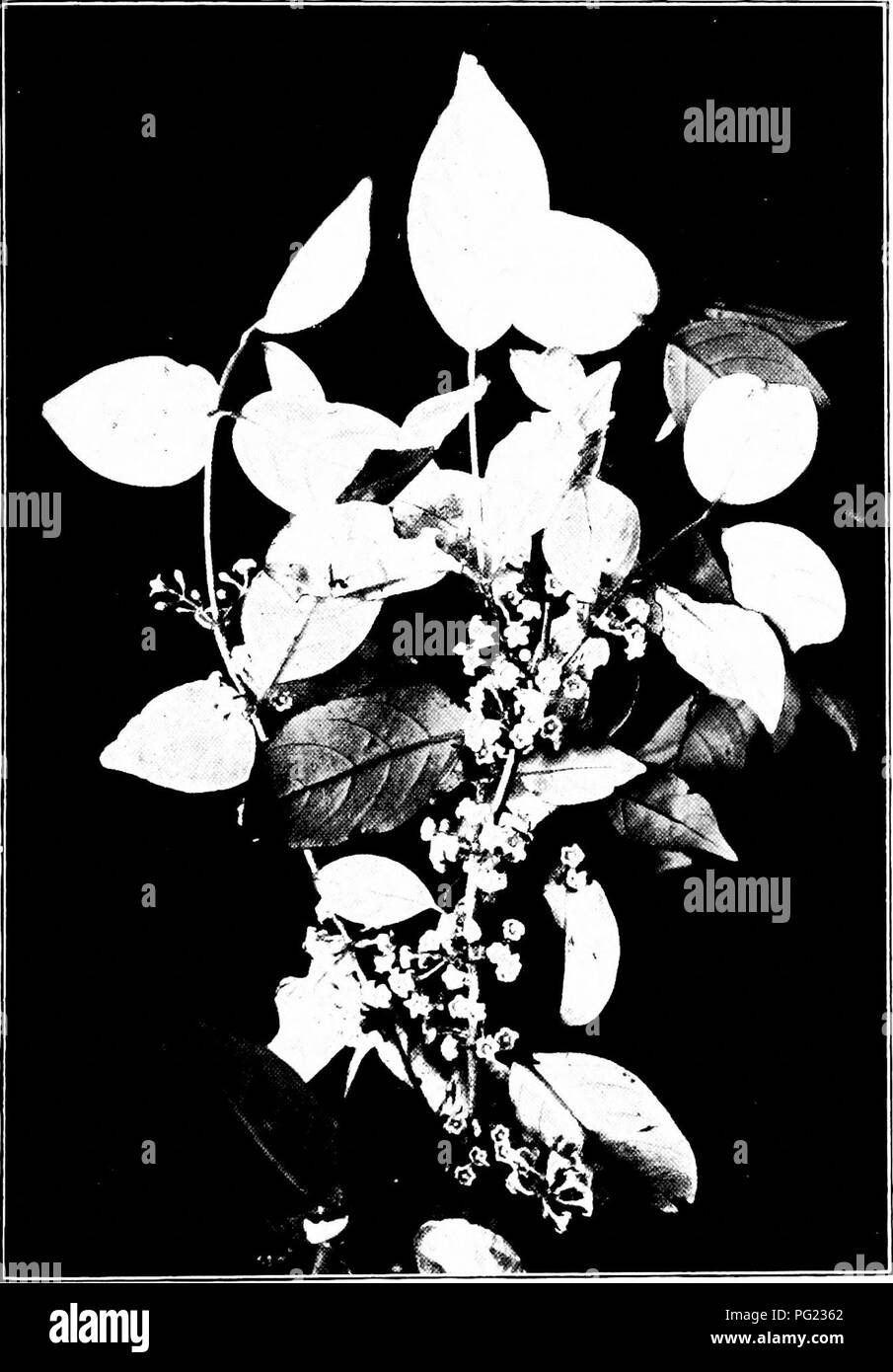 Malcolm 111 Black and White Stock Photos & Images - Alamy