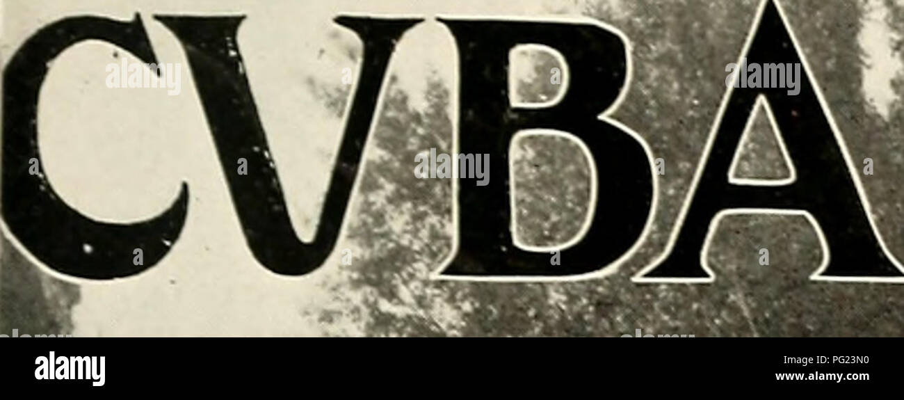 This issue of 'The Cuba Review' discusses various aspects of Cuban ...