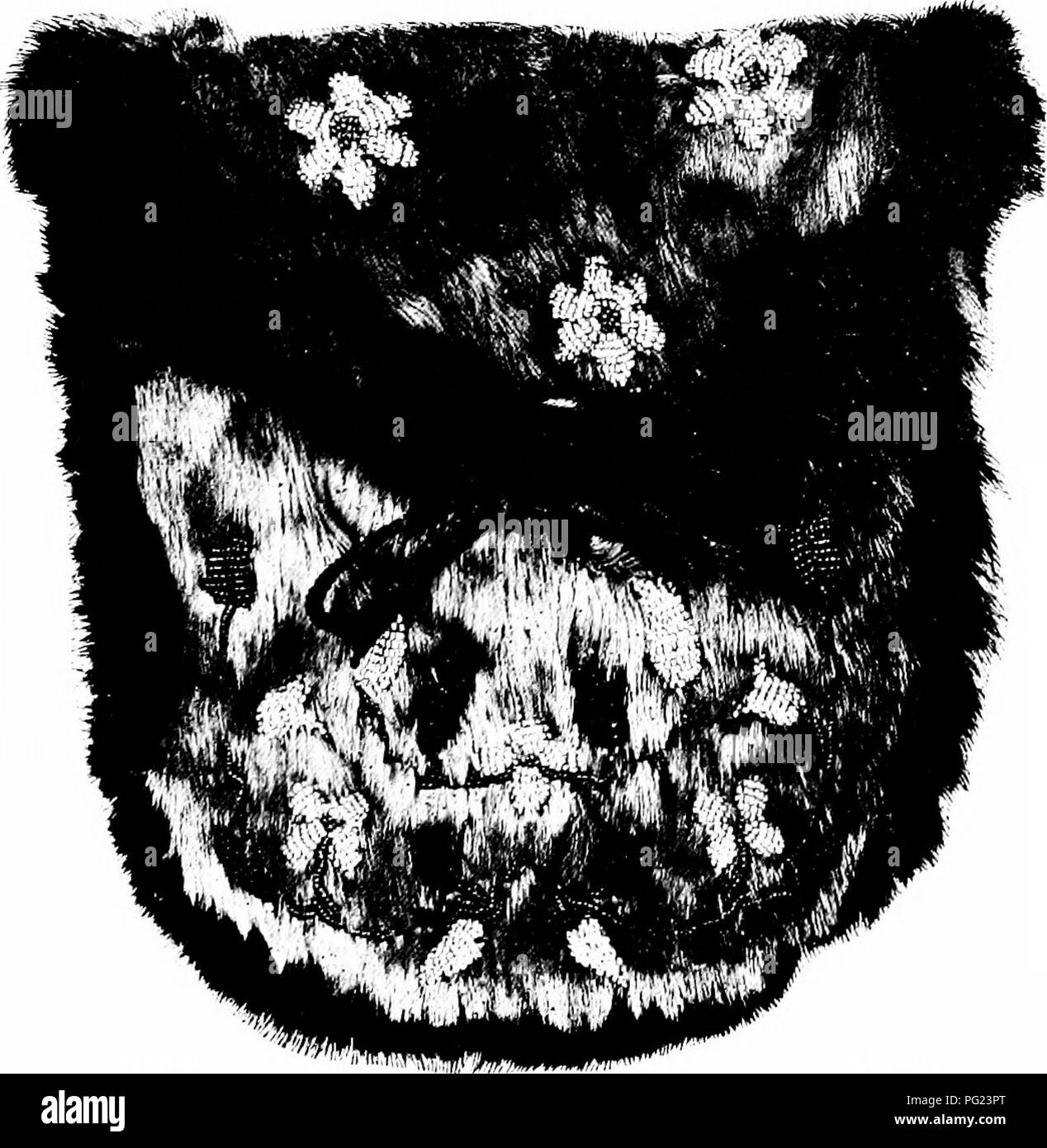 Algonkian hi-res stock photography and images - Alamy