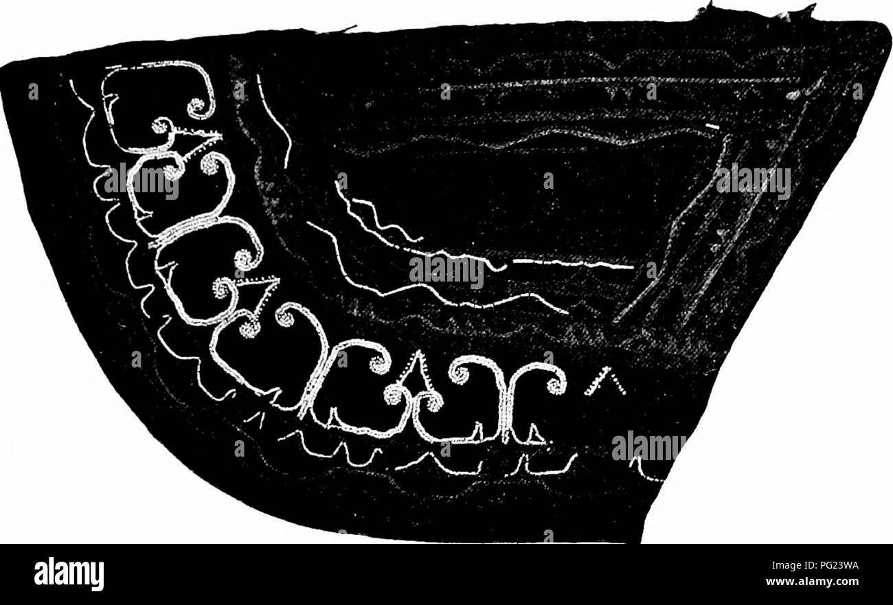 This study examines the prominent use of the double-curve motif in the ...