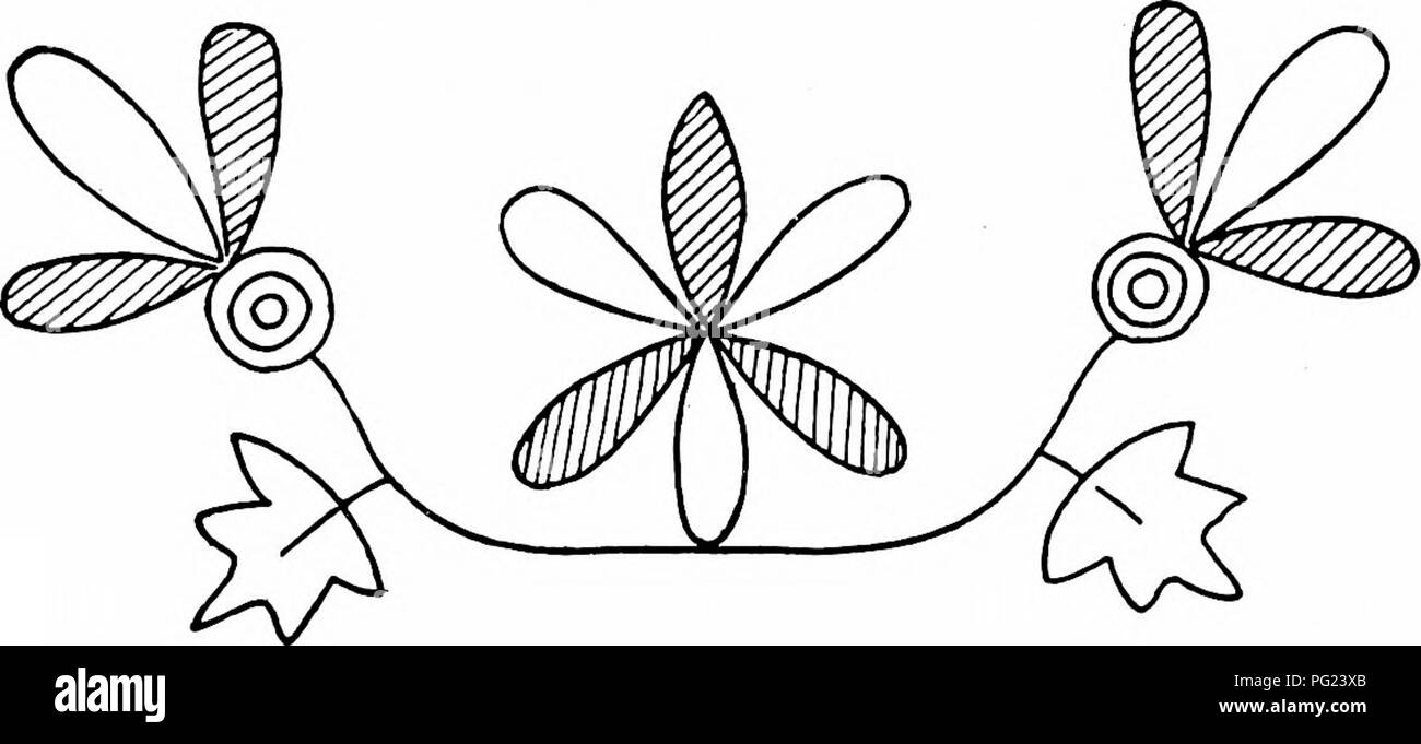 Algonkian hi-res stock photography and images - Alamy