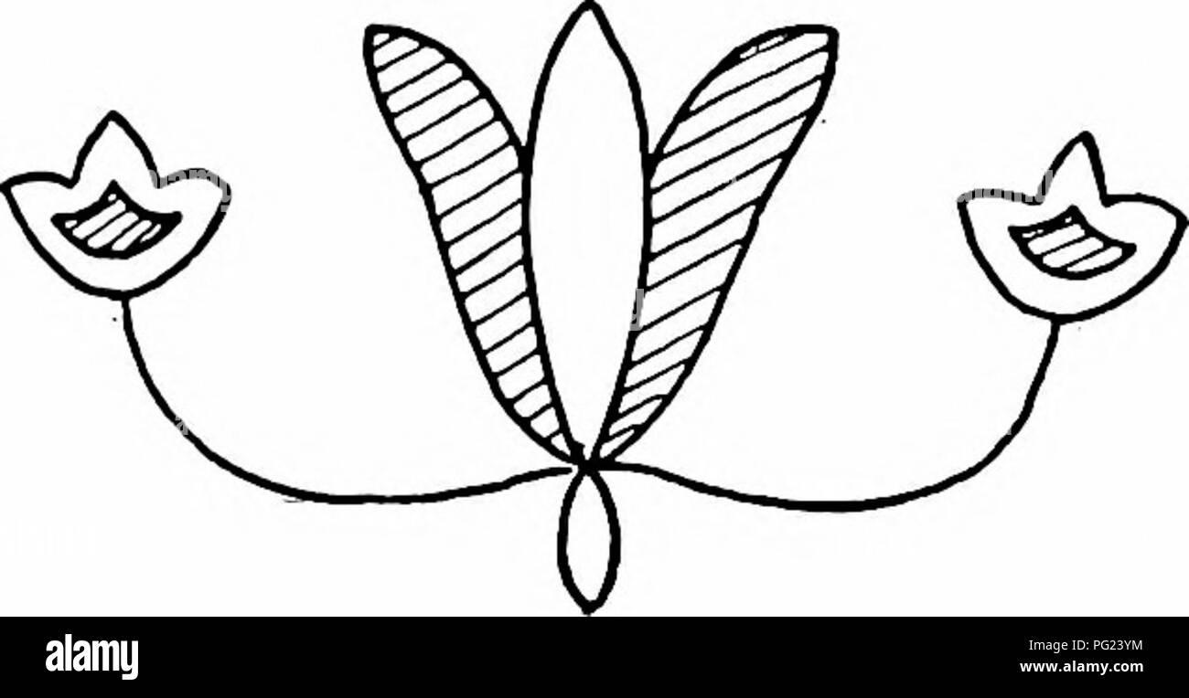 Algonkian hi-res stock photography and images - Alamy