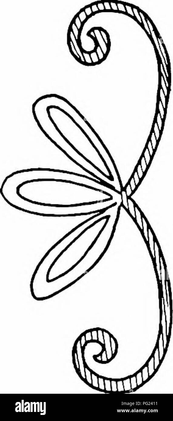 The double-curve motif is a prominent feature in northeastern Algonkian ...