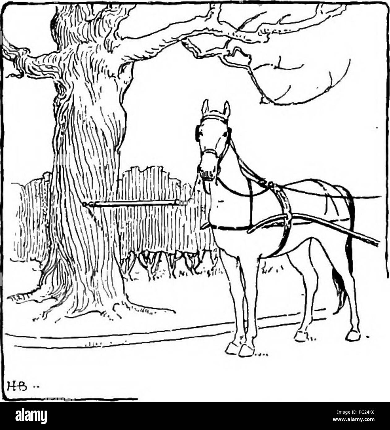 Hitched to tree hi-res stock photography and images - Alamy