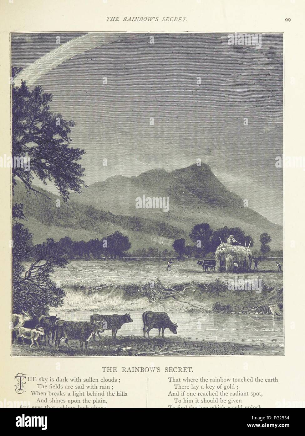 Barnard 103 hi-res stock photography and images - Alamy