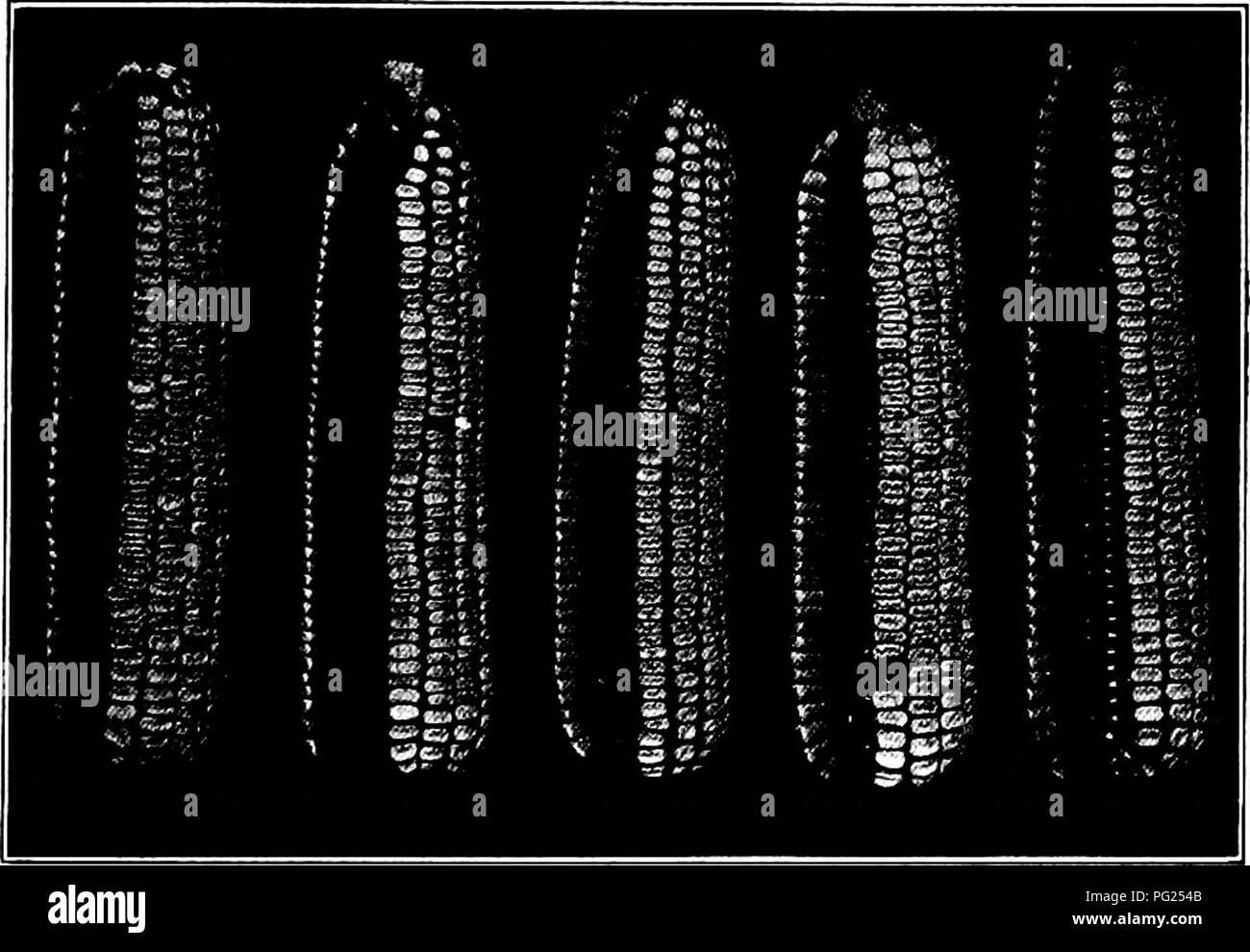 This educational text provides a comprehensive guide to field crop ...