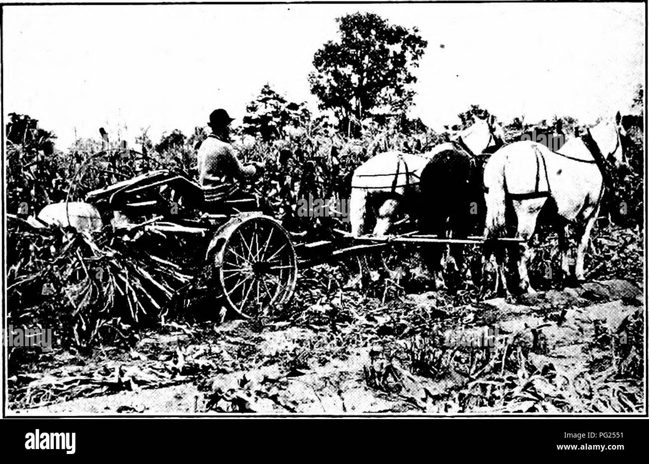Fodder cutter Black and White Stock Photos & Images - Alamy