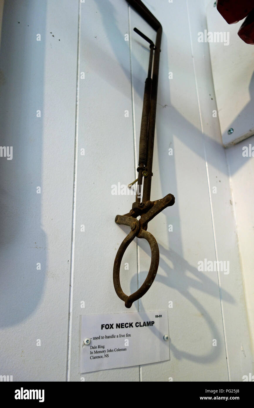 Fox neck clamp - Antique farming tools used to restrain animals Stock ...