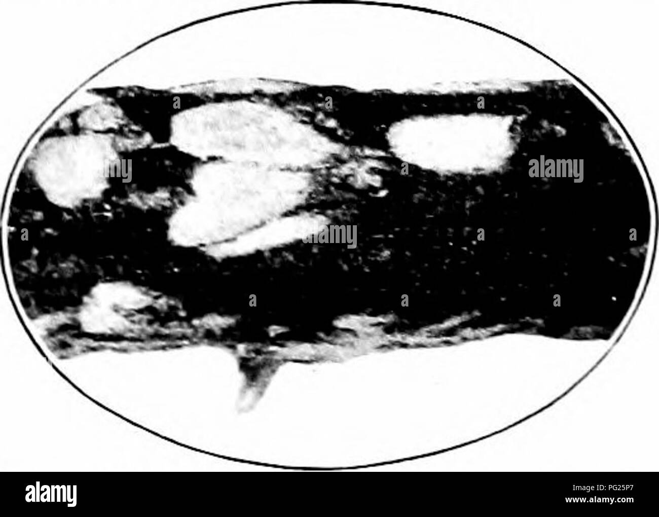 This manual provides a detailed guide to identifying and controlling ...