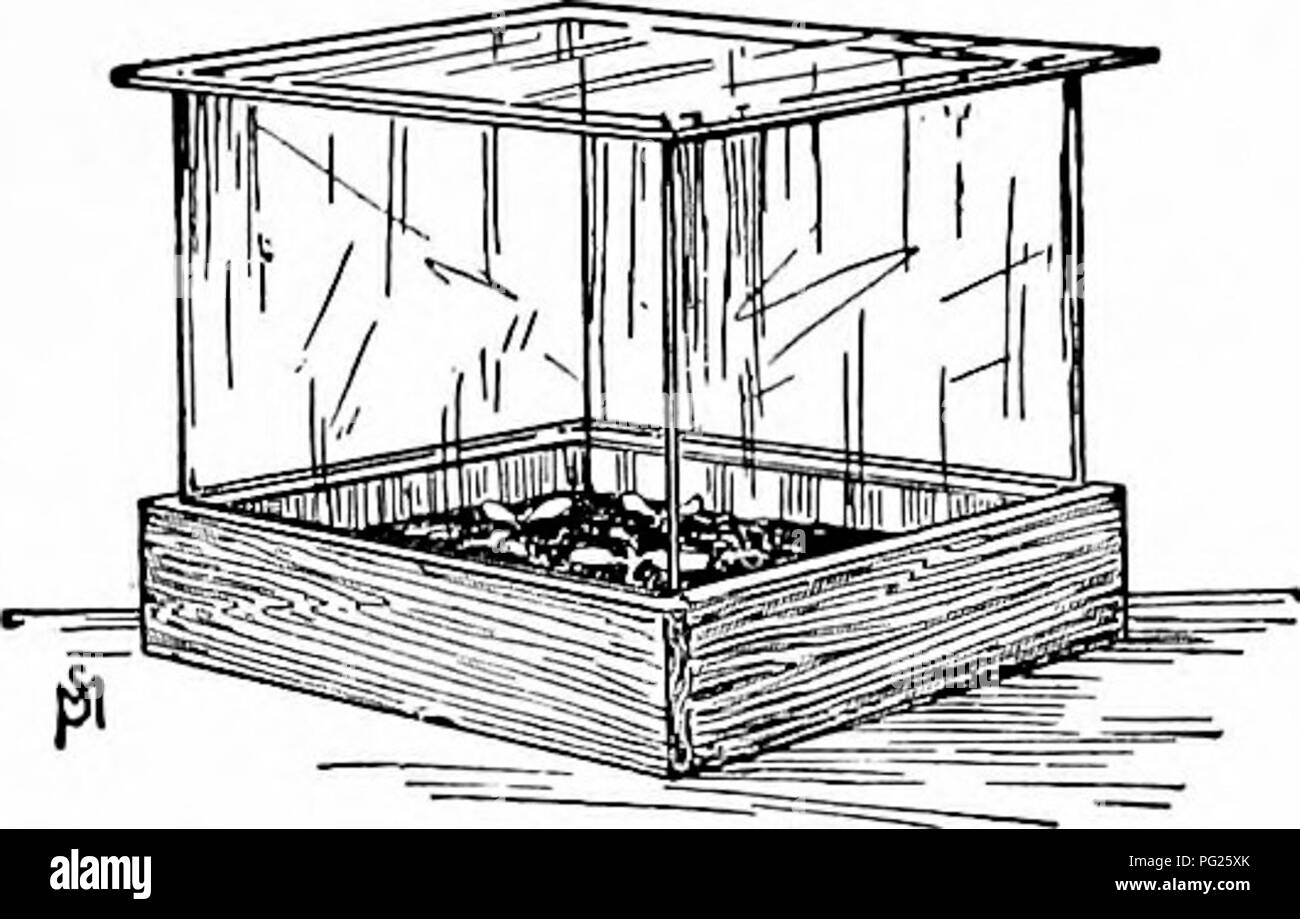 . The nursery-book : a complete guide to the multiplication of plants ...