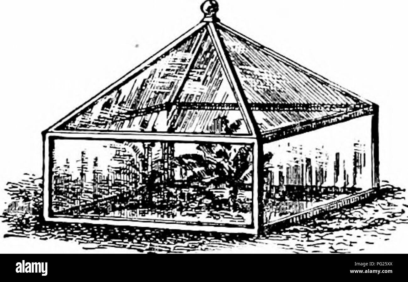This guide discusses plant propagation through cuttings, emphasizing ...