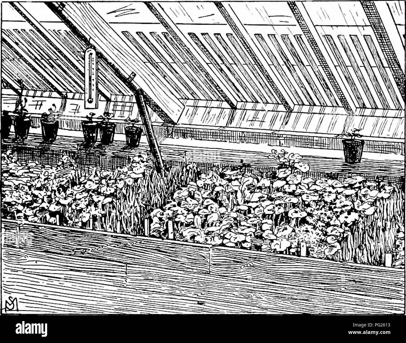 Tom greenhouse hi-res stock photography and images - Alamy