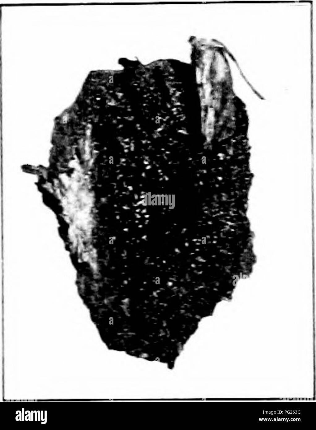 This book provides detailed illustrations and descriptions of common ...