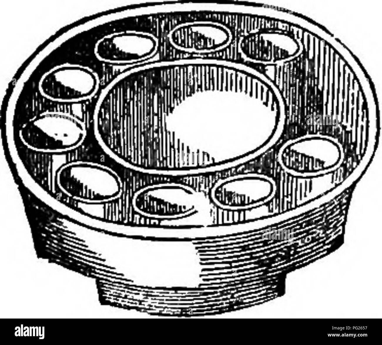 This image depicts various tools and techniques for plant propagation ...