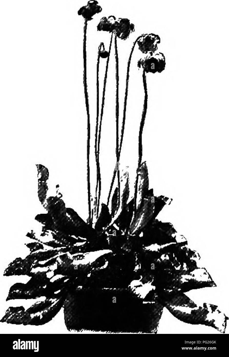 An introduction to botany, explaining the various plant species ...