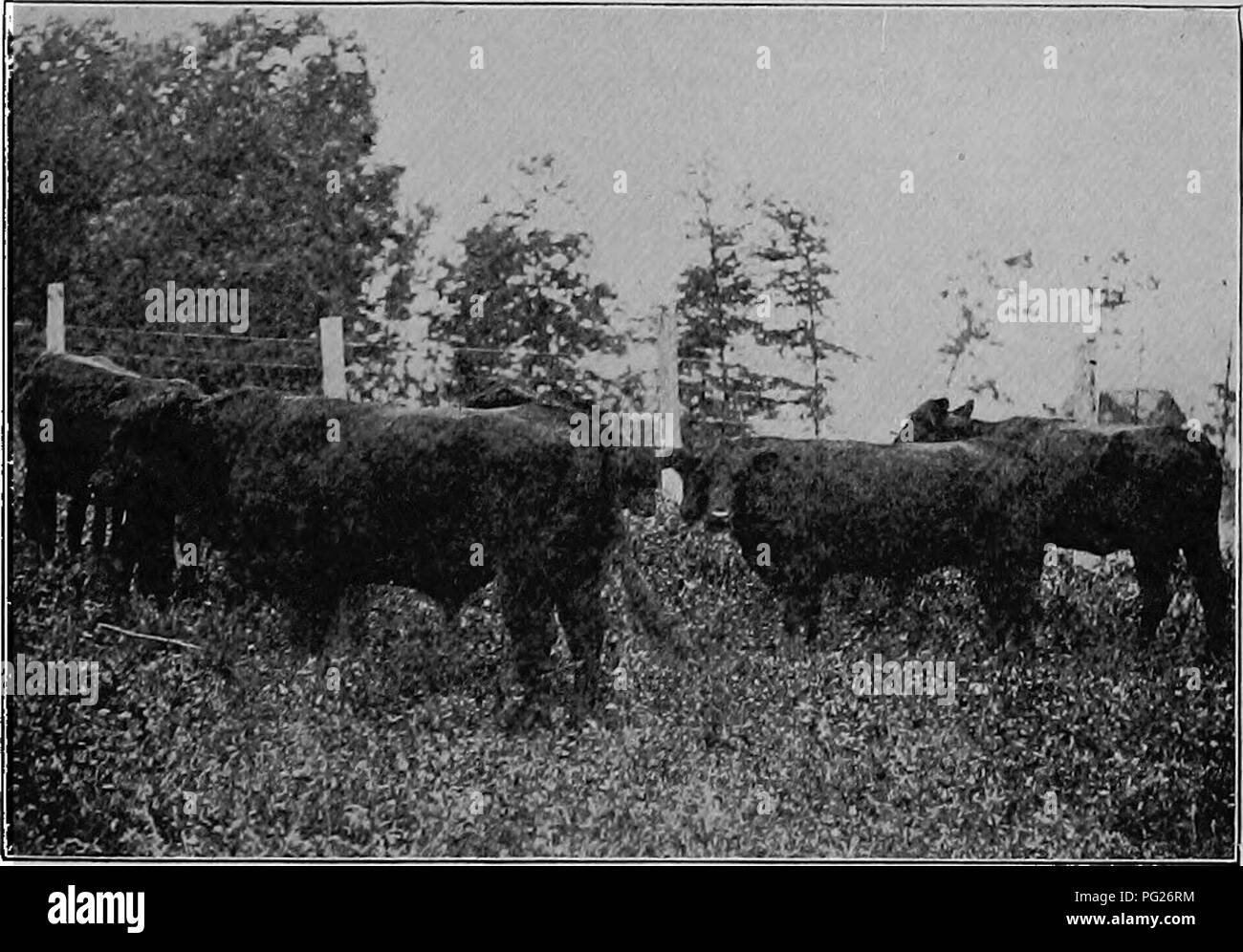 This book provides practical advice on the care and treatment of common ...