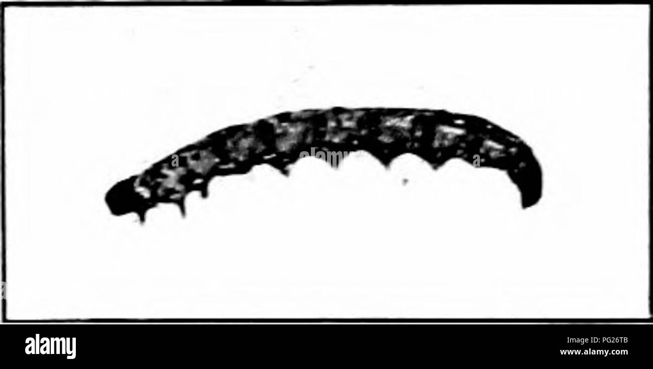 This guide provides information on identifying and controlling common ...