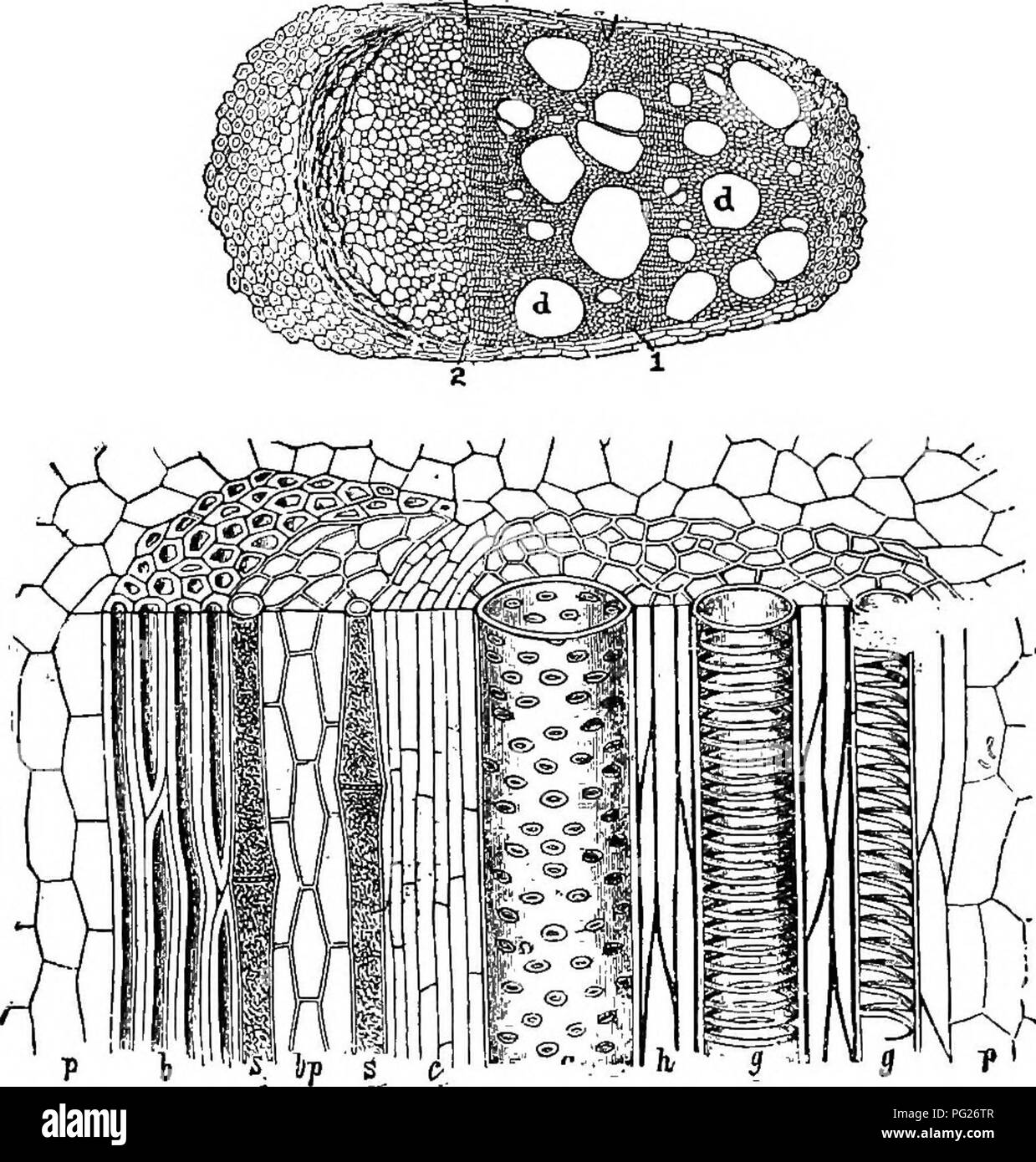 Bundle of wood Black and White Stock Photos & Images - Alamy