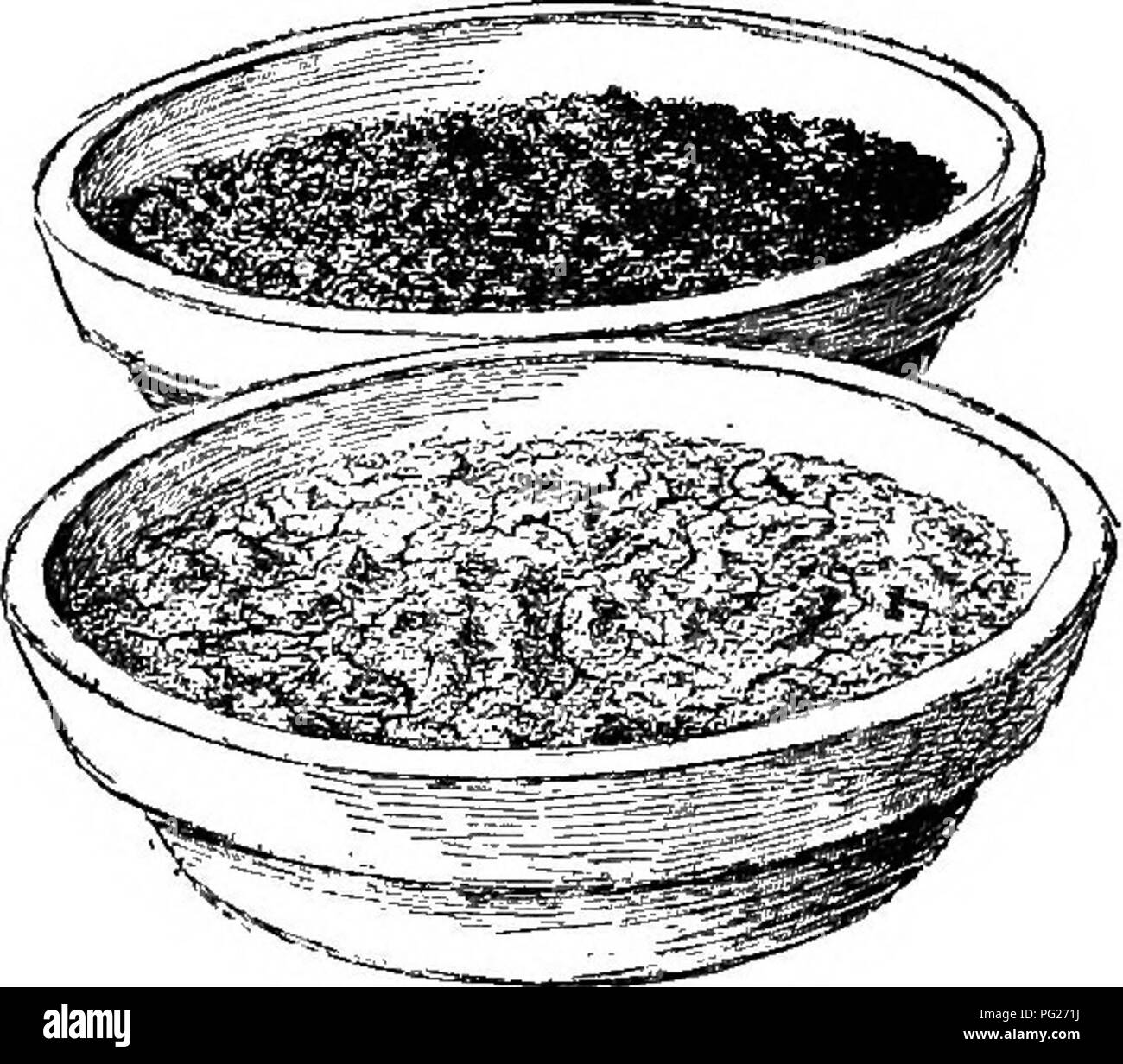 This beginner's guide to botany introduces basic plant biology ...