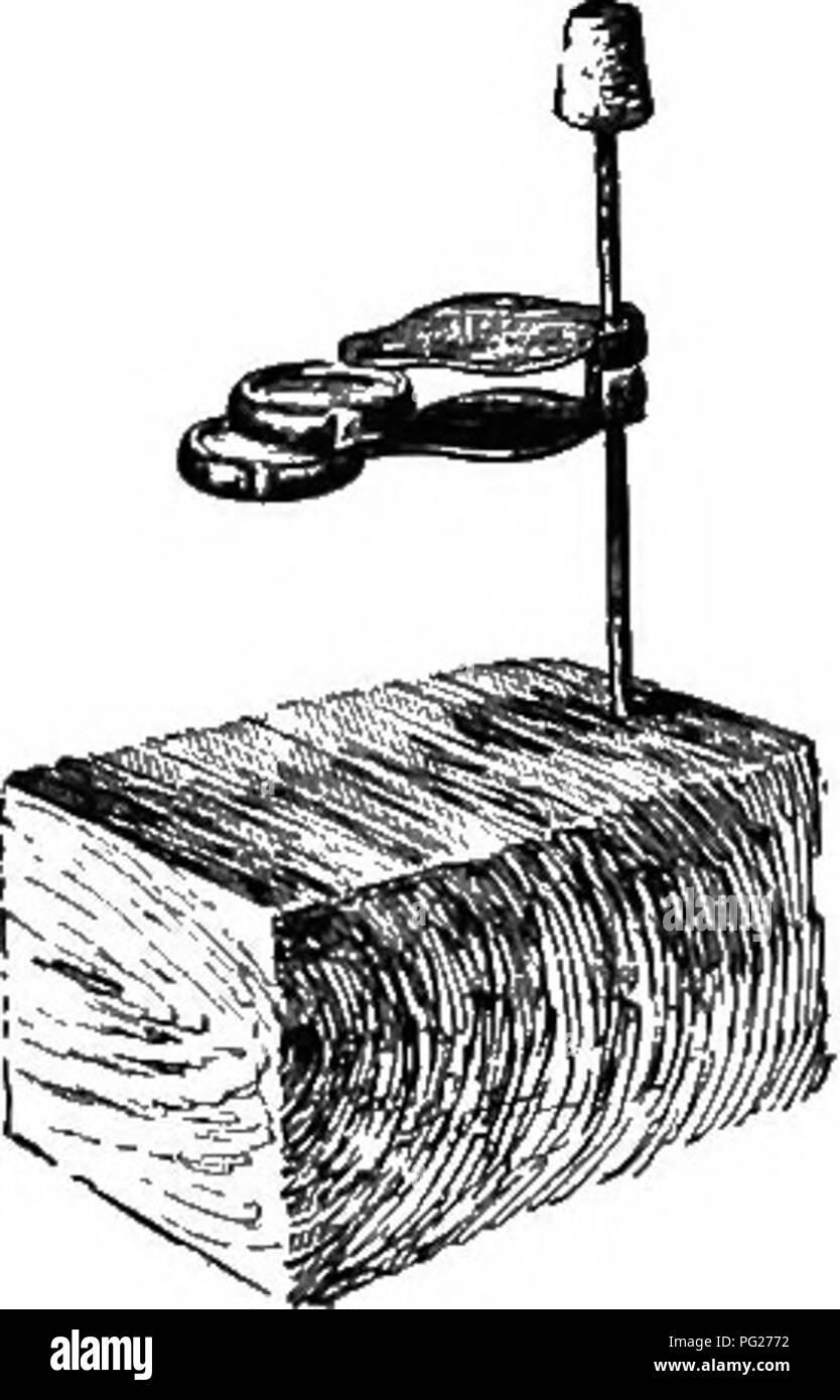 This instructional work on botany introduces basic concepts, including ...