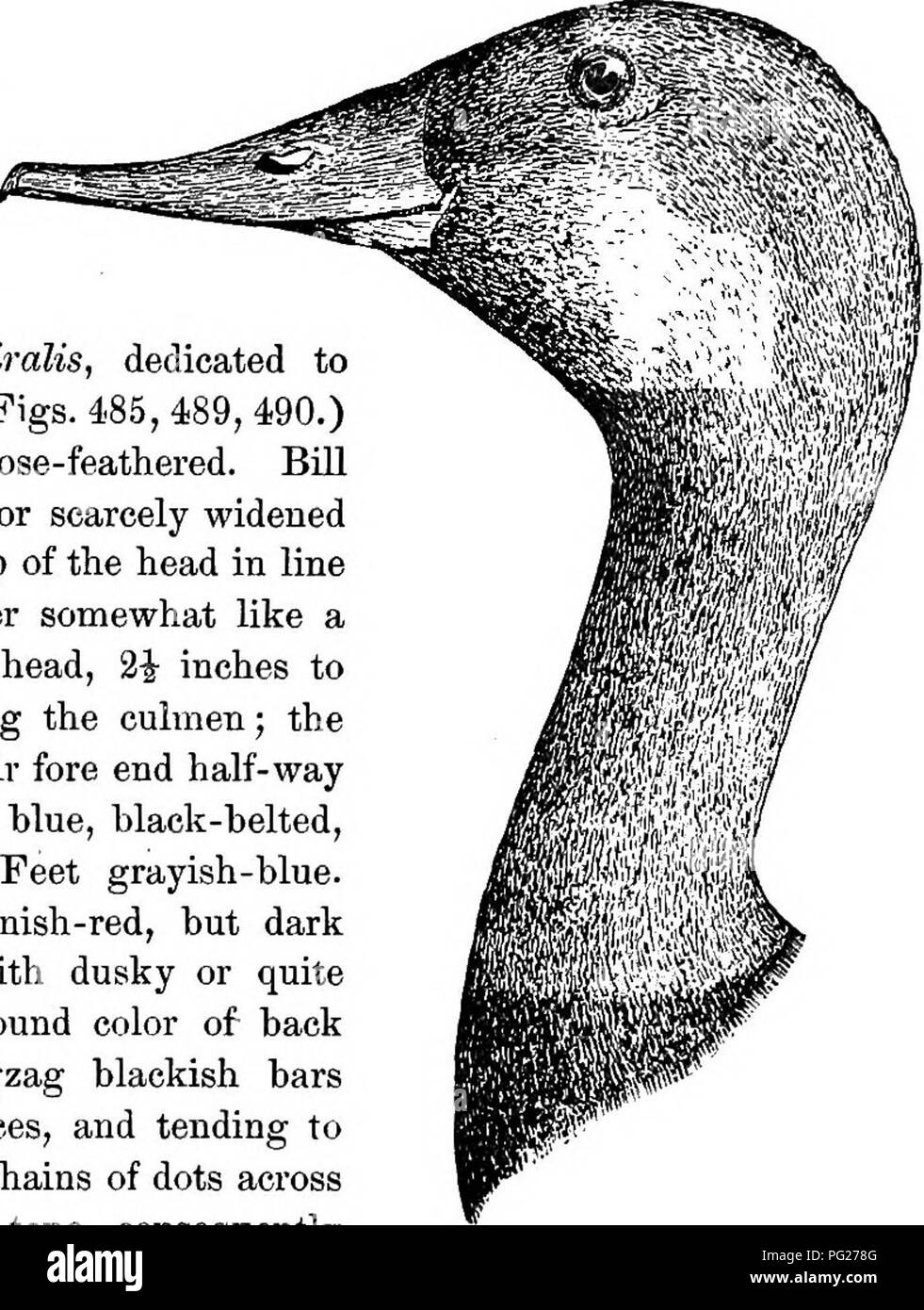Lower latitudes hi-res stock photography and images - Alamy
