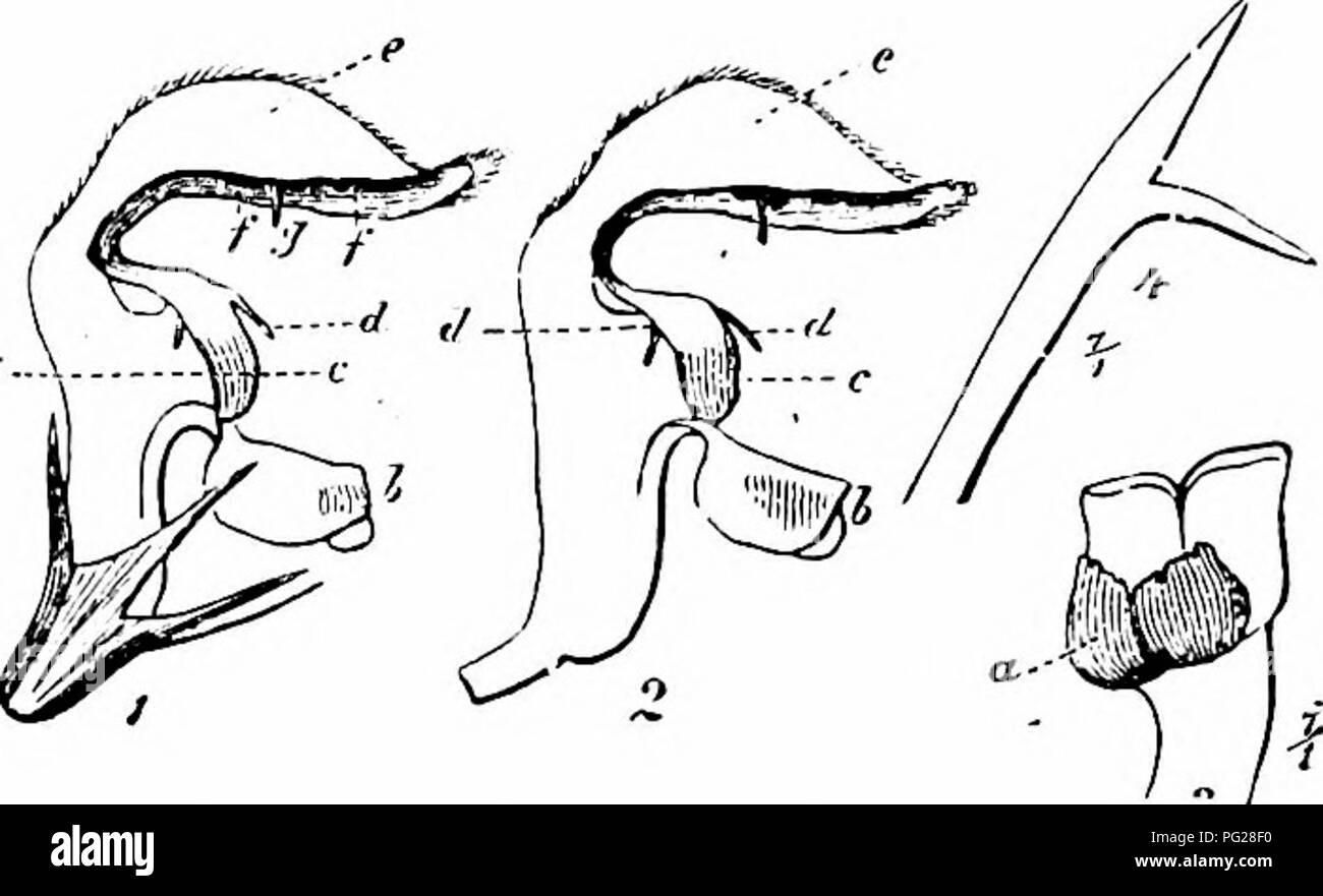 This handbook details the processes of flower pollination, drawing on ...