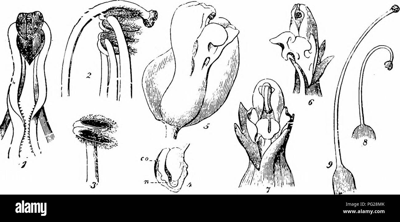 This handbook focuses on the fertilization of flowers by insects ...
