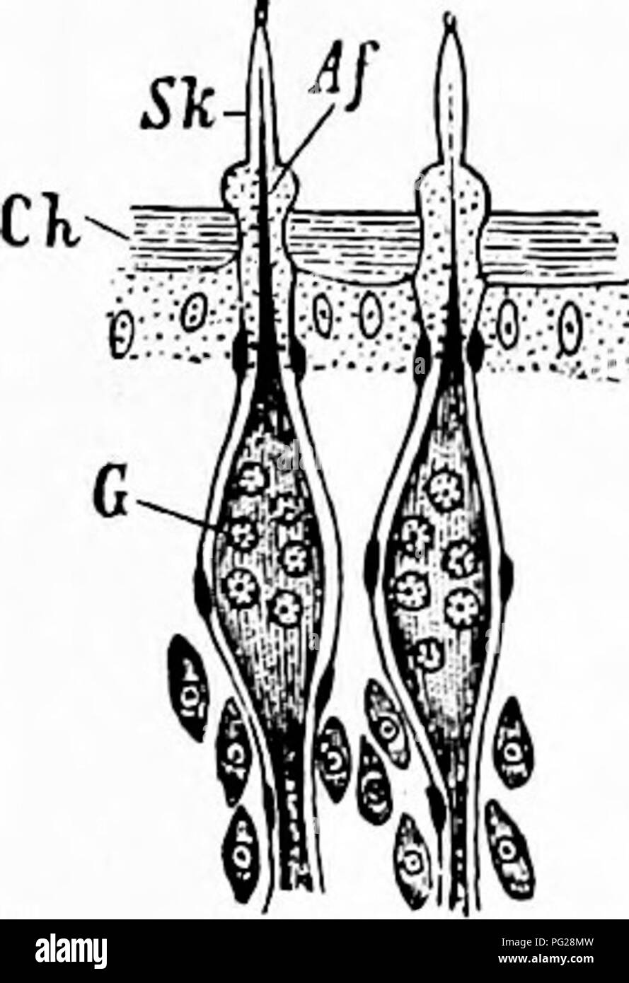 Simple pits Black and White Stock Photos & Images - Alamy